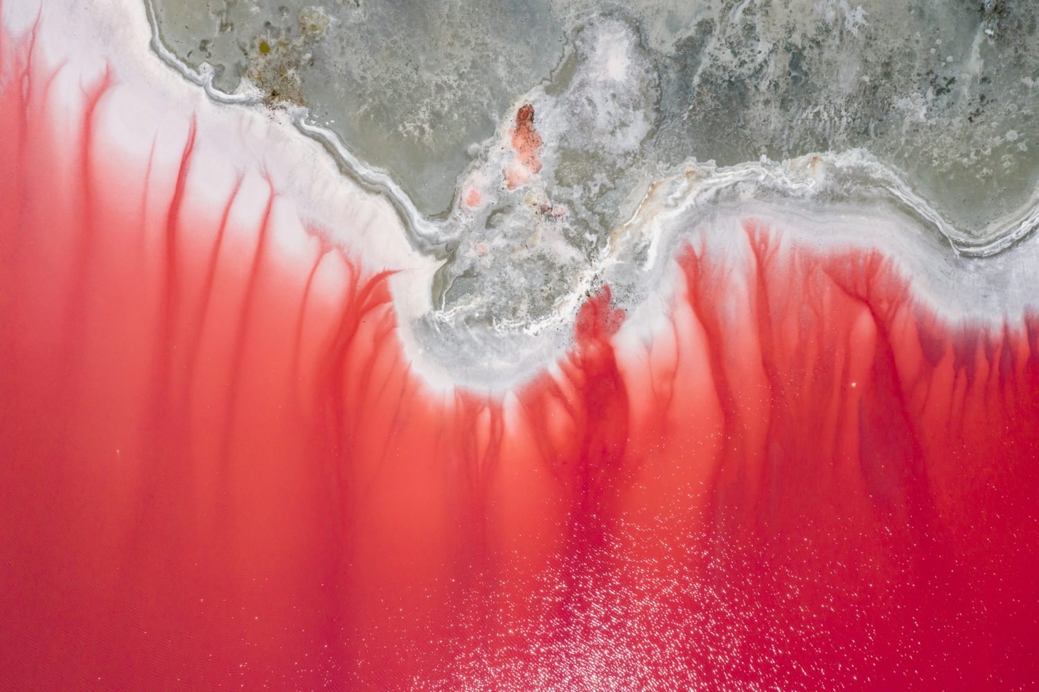 The Green Wave | Professional | Redwheel