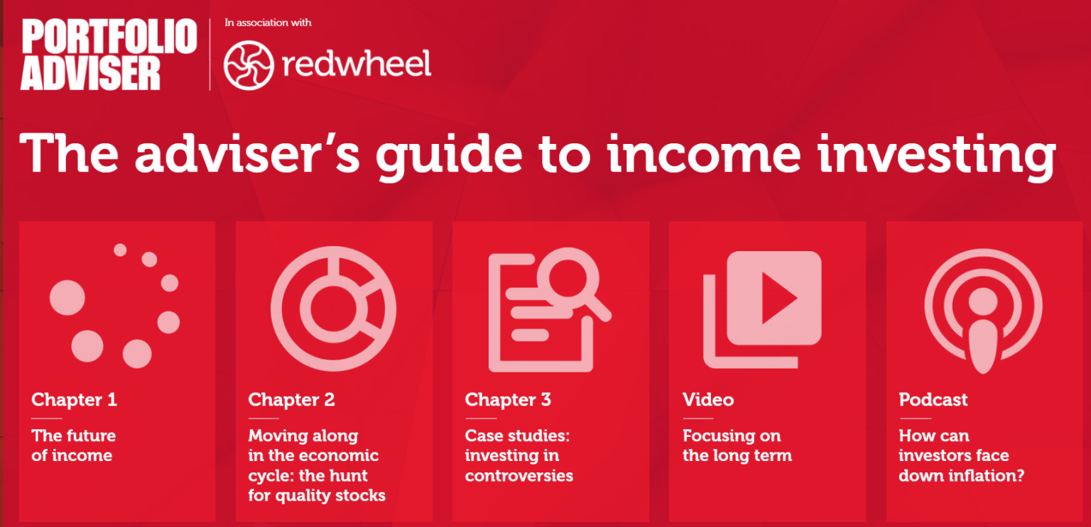 Global Equity Income Adviser's Guide | Professional | Redwheel