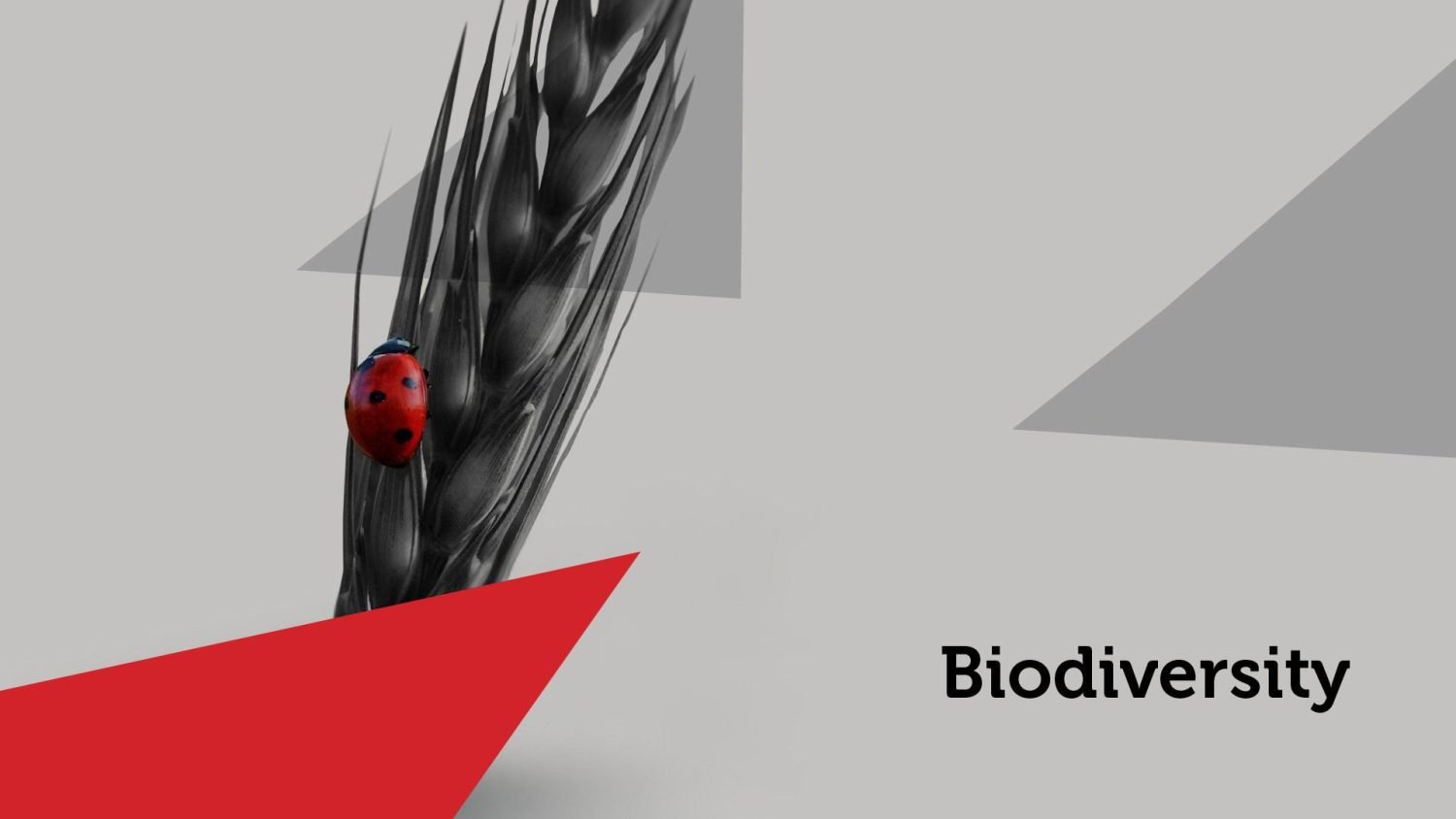 A shift towards a better biodiversity future with Amanda O'Toole ...